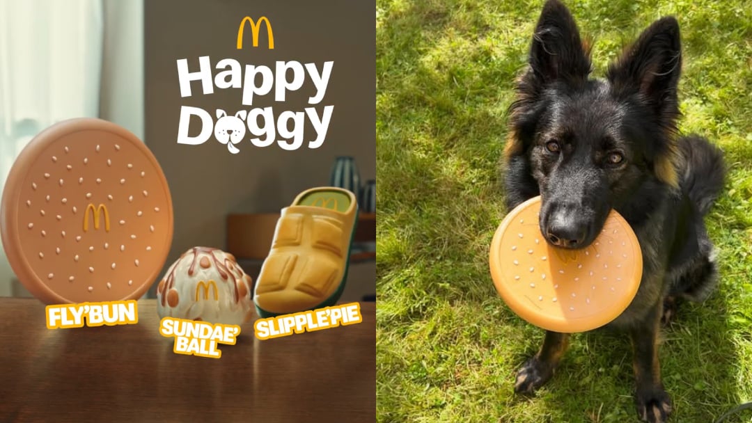 McDonald's gives pups their own Happy Meal moment, sort of, with dog ...