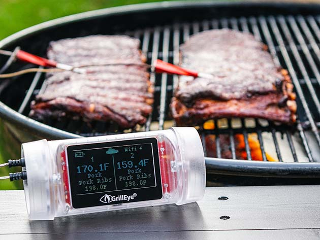 Smart Wi-Fi instant-read thermometer helps monitor grilling ...