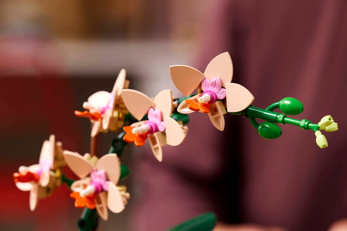 LEGO 'Mini Orchid' adds a small floral display to the Botanical line ...