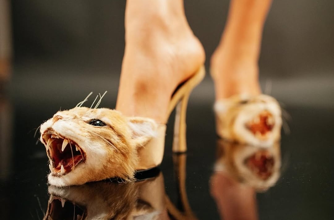 Schiaparelli sends the runway purring with literal 'kitten heels ...