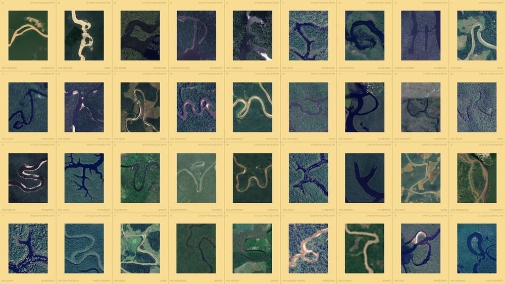 Brazil's Amazon comes alive in new identity shaped by its landscapes ...