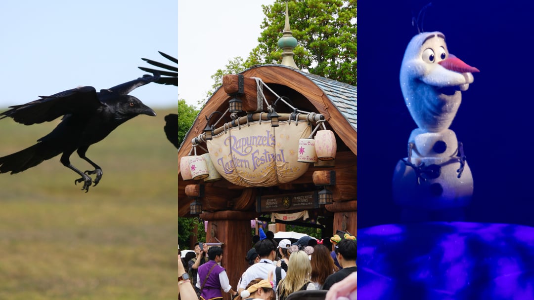 Disney's magic took a day off as animatronics went rogue on the same ...