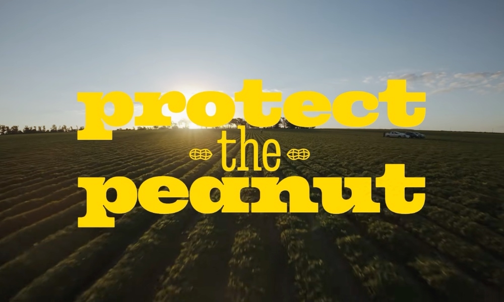M&M's puts peanuts in the spotlight with its 'Protect the Peanut ...