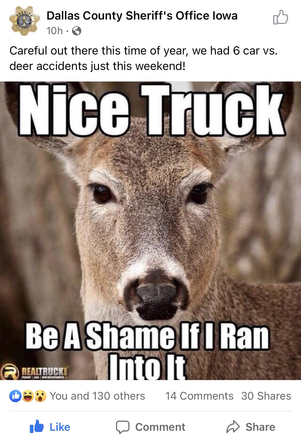 Car vs Deer - Quiverfull of Automobiles - Free Jinger