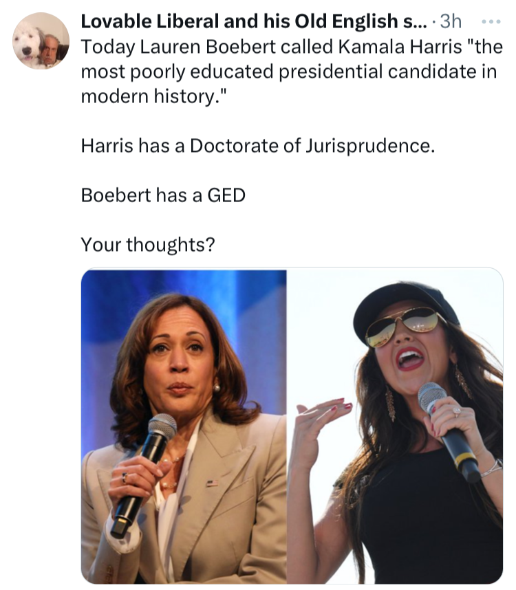Lauren Bobert 2: It Appears We Are Stuck With Her - Quiver Full of ...