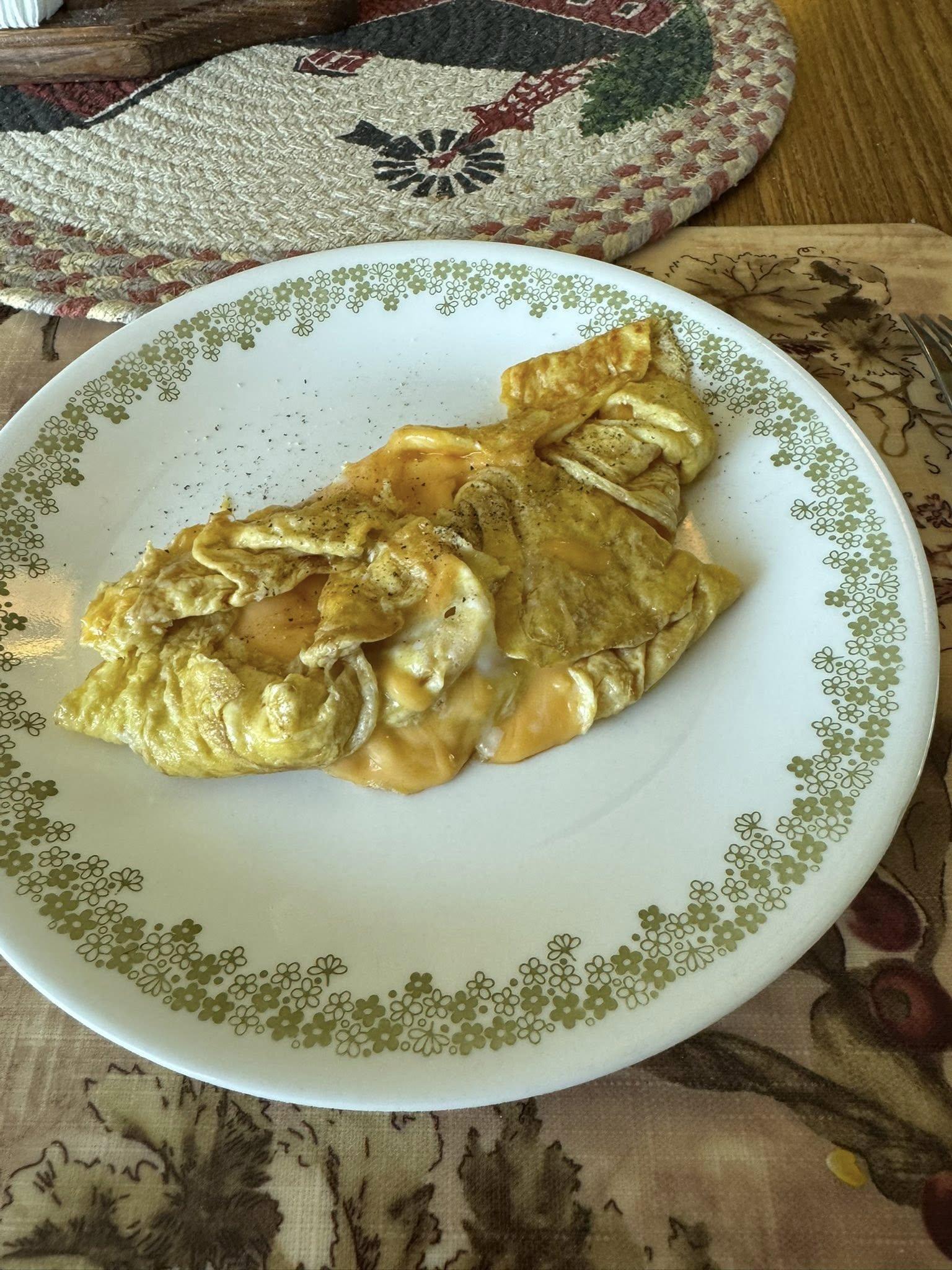 First Attempt at Making an Omelette - General Discussion - Free Jinger