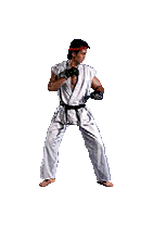 SFTM Ryu - Street Fighter The Movie - AK1 MUGEN Community
