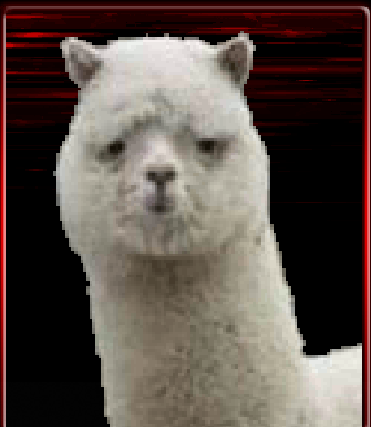 Alpaca Suri - Anime/Manga - AK1 MUGEN Community