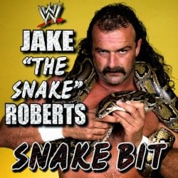 Jake "The Snake" Roberts Theme Song - musicbox_unknownSinger - AK1 ...