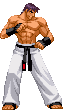 Reiji - Marvel vs Capcom Styled - AK1 MUGEN Community