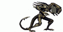 Predalien - Capcom Characters - AK1 MUGEN Community