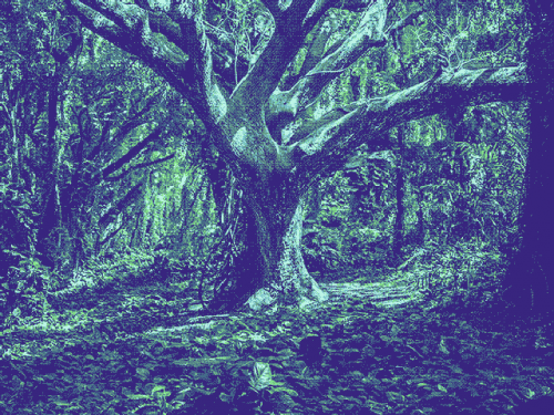 OMORI - Vast Forest - Omori stages - AK1 MUGEN Community