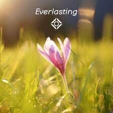 Everlasting - Lockyn - AK1 MUGEN Community