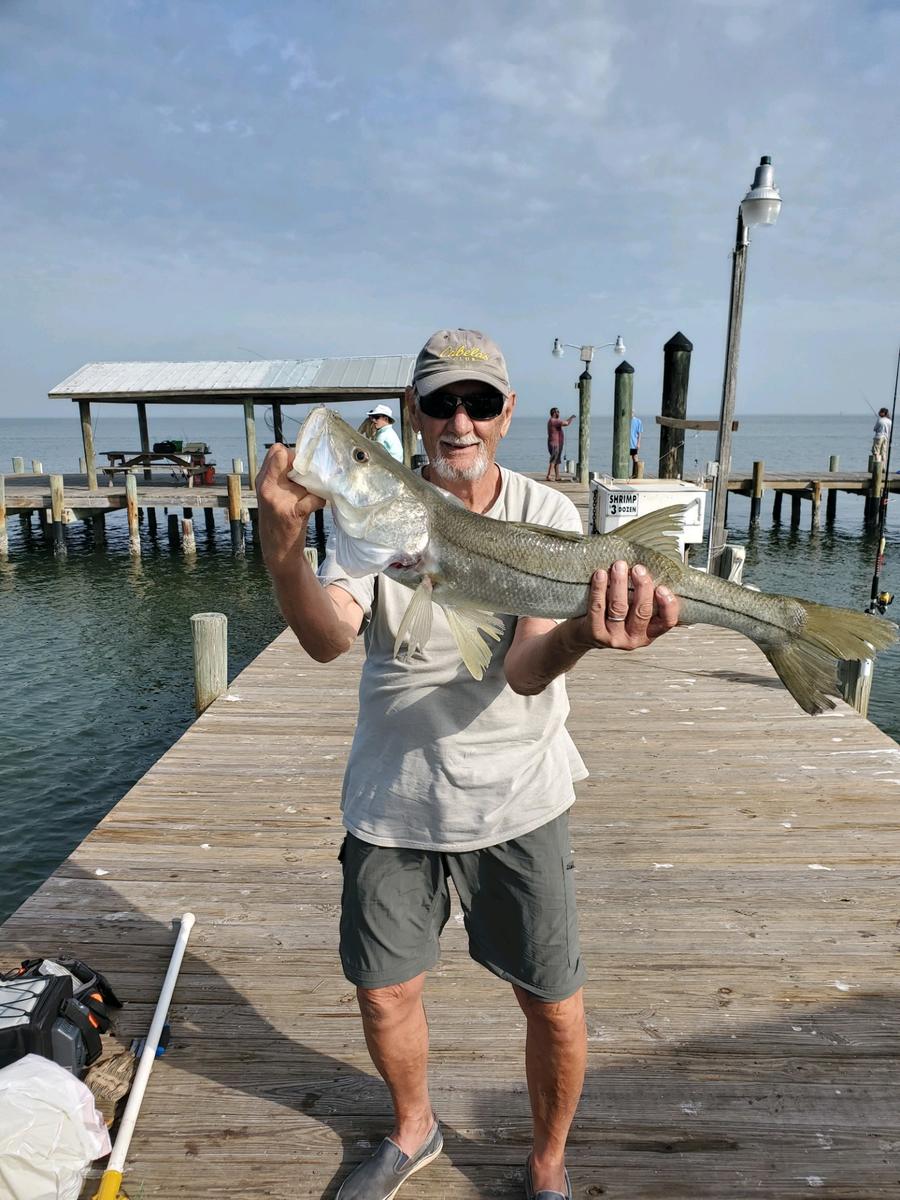 Snook, tarpon, trout and redfish Oh My! - Fishing Reports - Maine Fly Fish